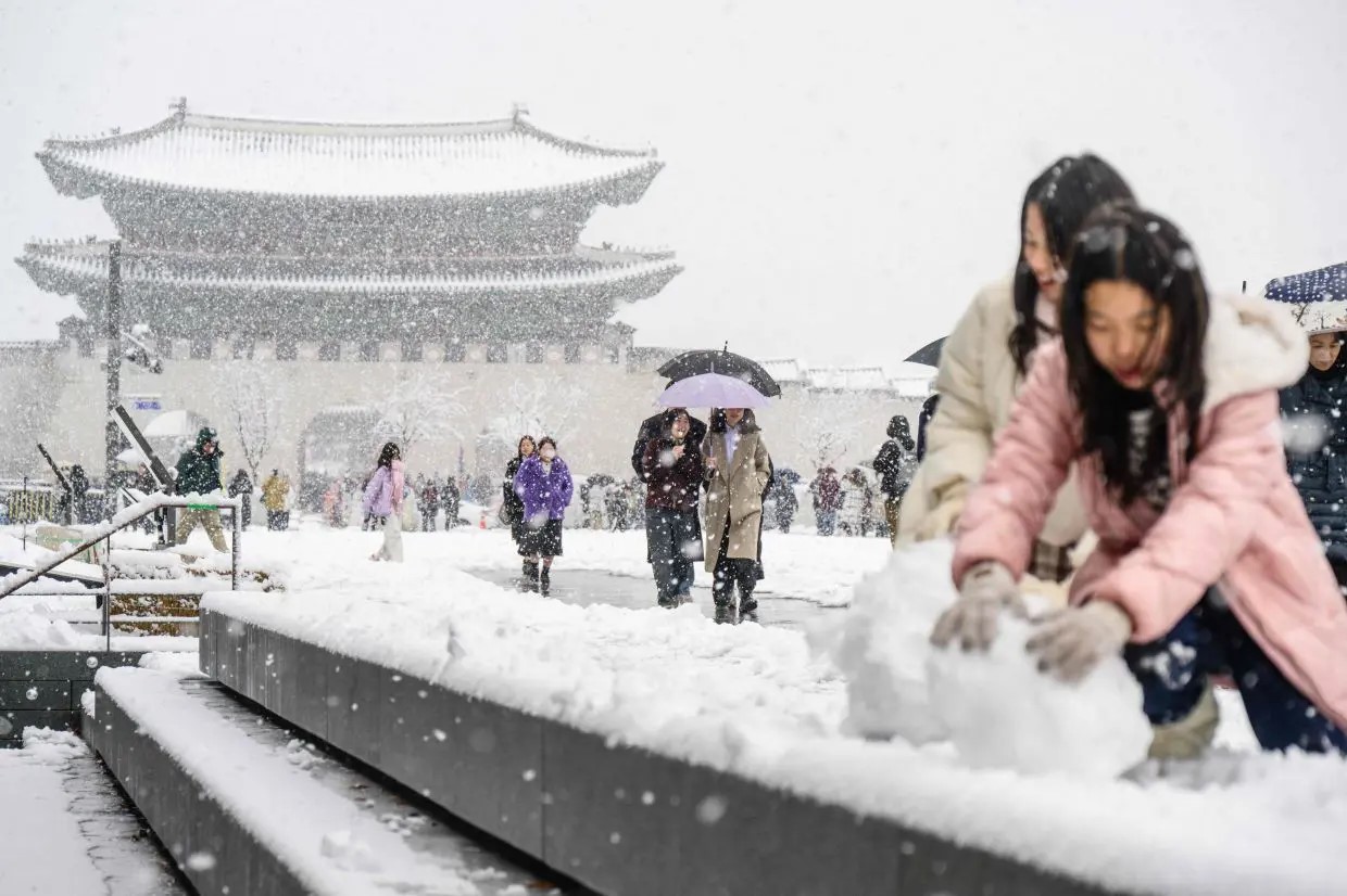 韓国ソウル大雪、11月としては半世紀ぶりの降雪量に - KWP News／九州と世界のニュース