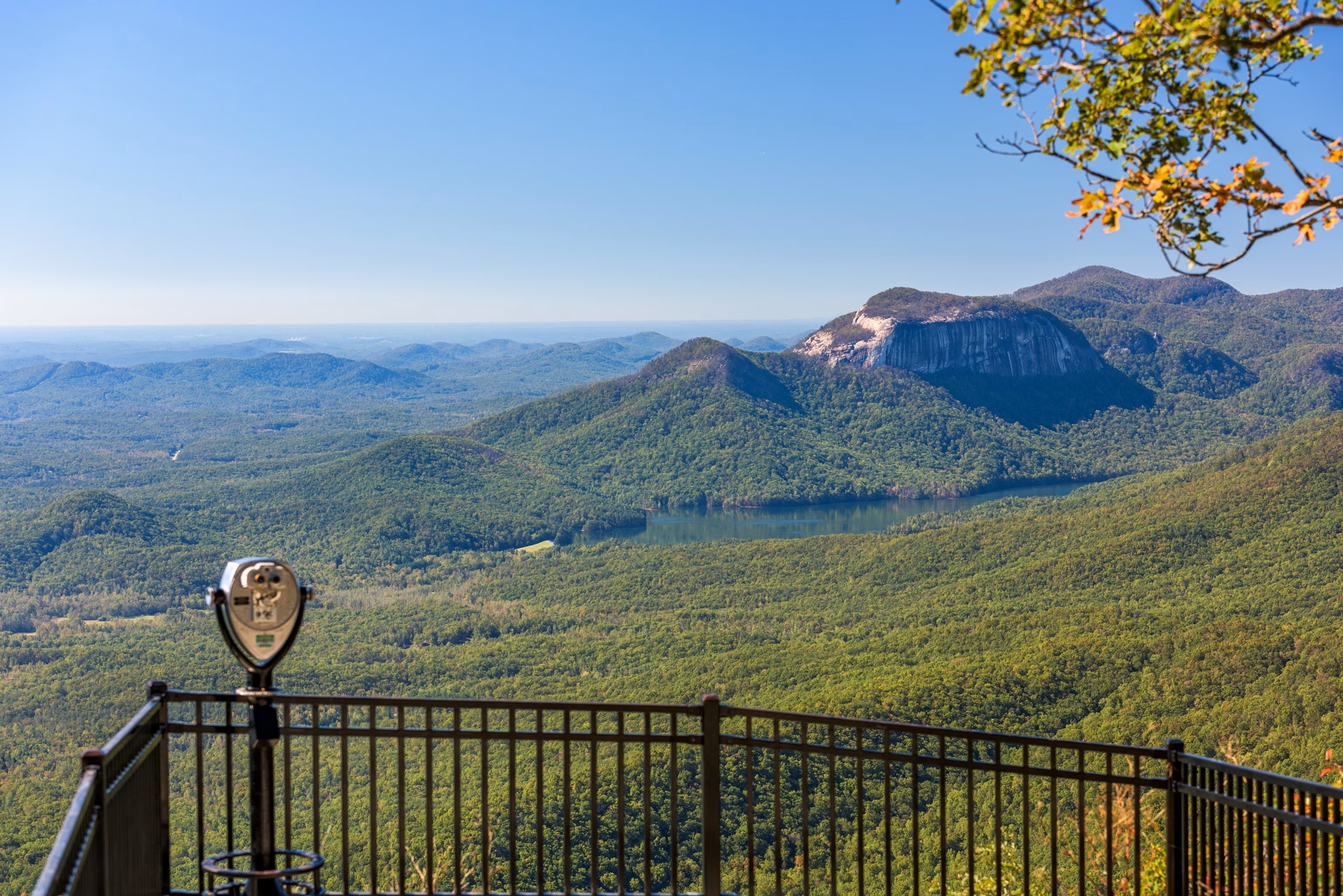 ハイキング中に迷子、女性と孫3人を無事保護 米サウスカロライナ州 - KWP News／九州と世界のニュース